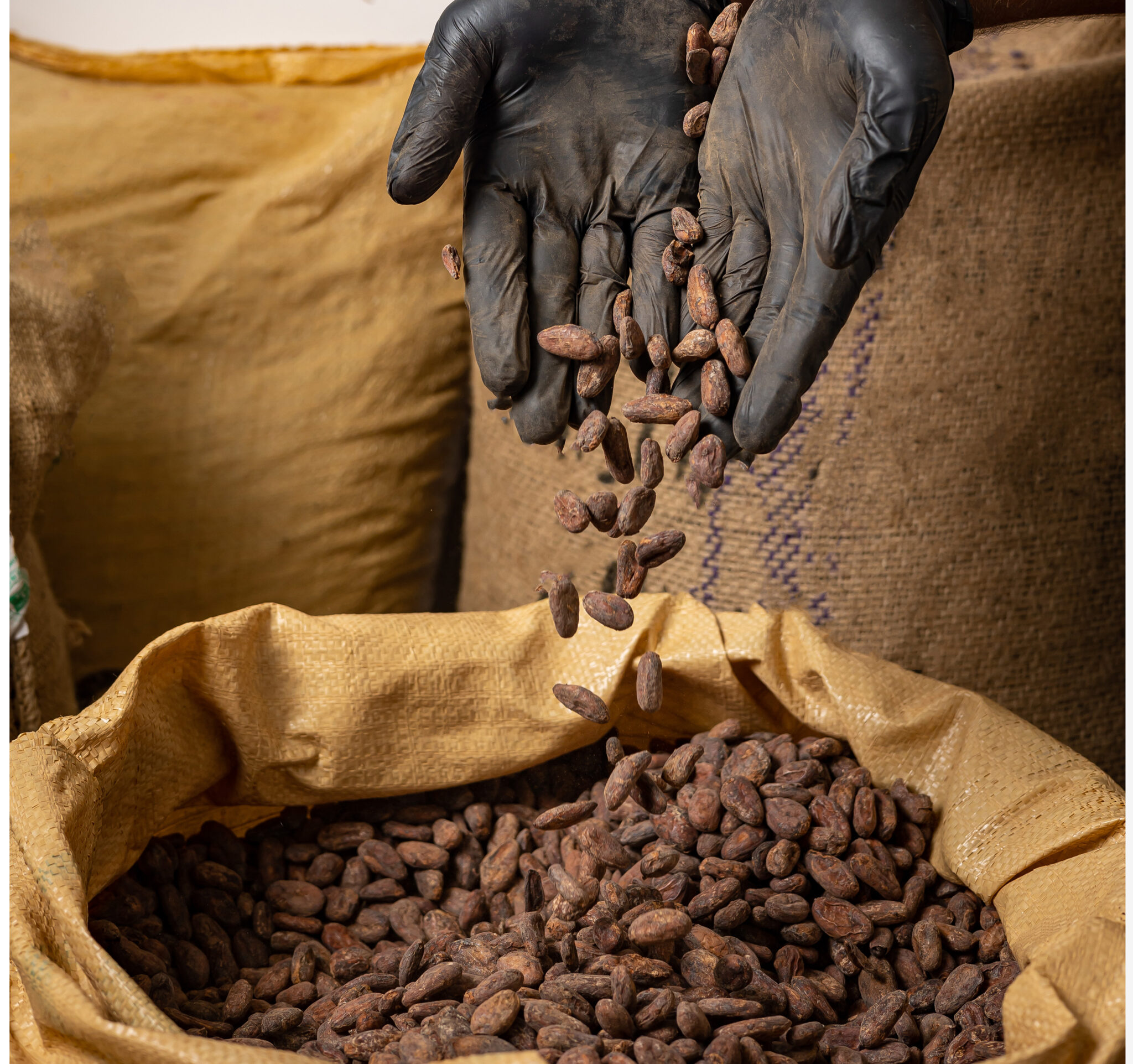 About SFI Agri – SFI AGRI COMMODITIES